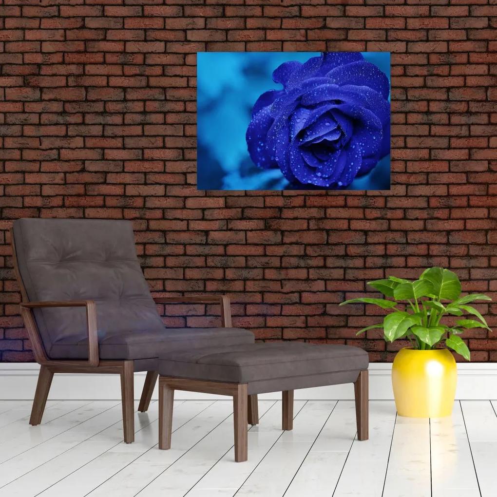 Skleněný obraz modré růže (70x50 cm)