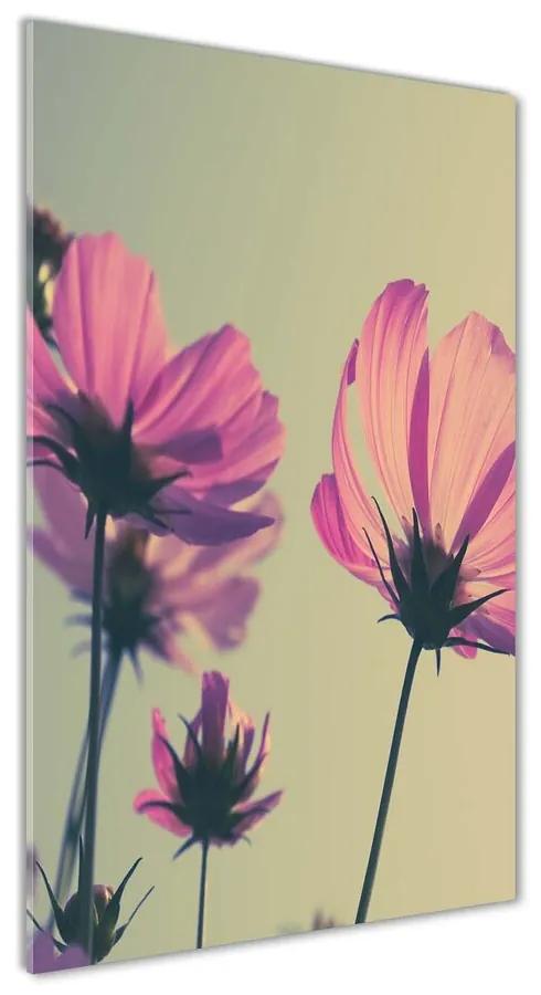Wallmuralia Foto obraz akrylový do obýváku Růžové květiny 50x100 cm