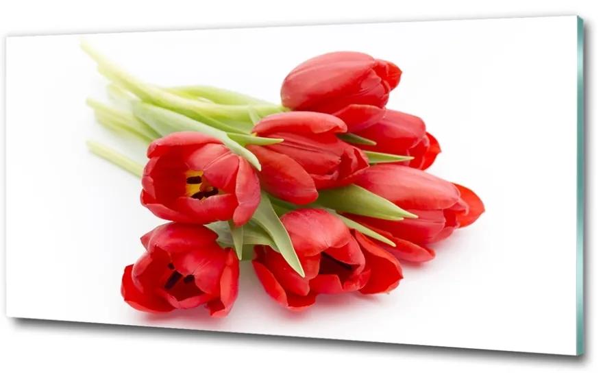 Wallmuralia Foto obraz skleněný horizontální Červené tulipány 100x50