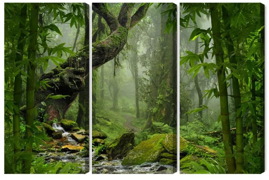 Vícedílný obraz Zeleň Deštného Pralesa Nedostatek Nedostatek Přírodní plátno 150x100
