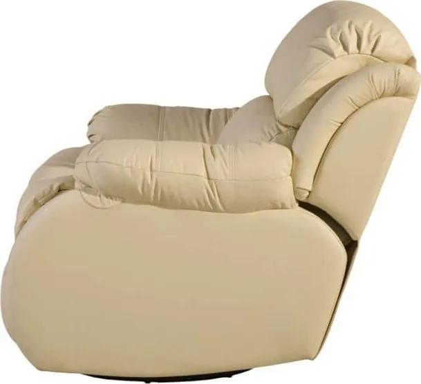 Casarredo - Komfort nábytek Křeslo pevné ROOSEVELT kůže | potah: kůže K-18