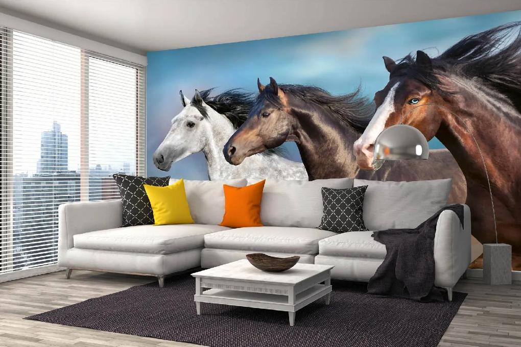 DIMEX | Samolepicí vliesová fototapeta na zeď Portrét koně MA-5-0395 | 375 x 250 cm | modrá, bílá, hnědá
