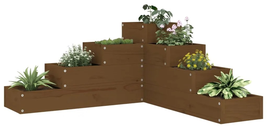 Zahradní truhlík 4patrový 80,5x79x36 cm medově hnědý borovice - Default Title
