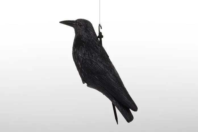 Havran plastová 3D maketa na plašení ptáků RAVEN ISO 0783, 40cm