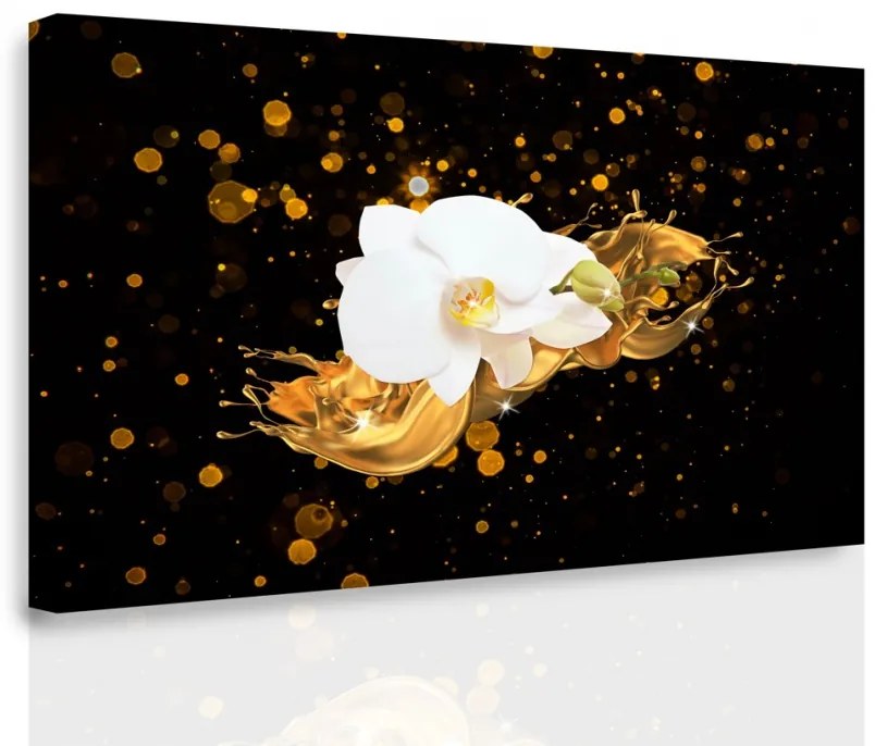 Obraz na plátně - bílá orchidej (90x60 cm) - InSmile ®