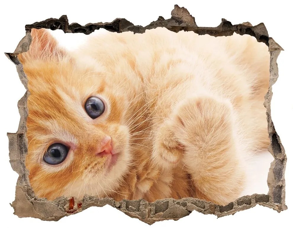 Wallmuralia Díra 3D fototapeta nálepka Červená kočka 95x64 cm