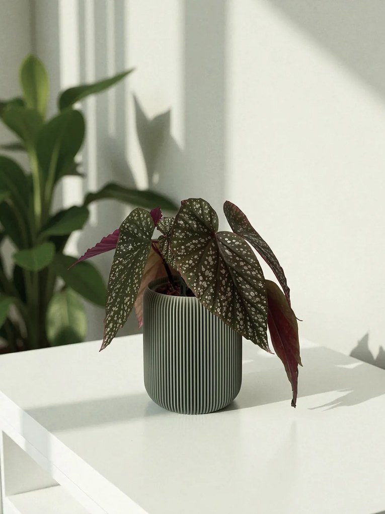 Plantbee Květináč Umbert vysoký 18cm olivová