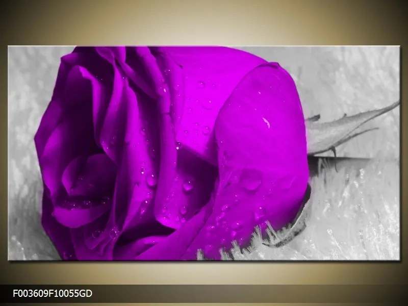 Obraz fialové růže (), 40 dalších rozměrů
