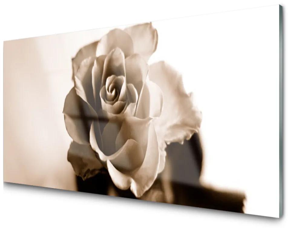 Obraz na skle Skleněný Růže Květ