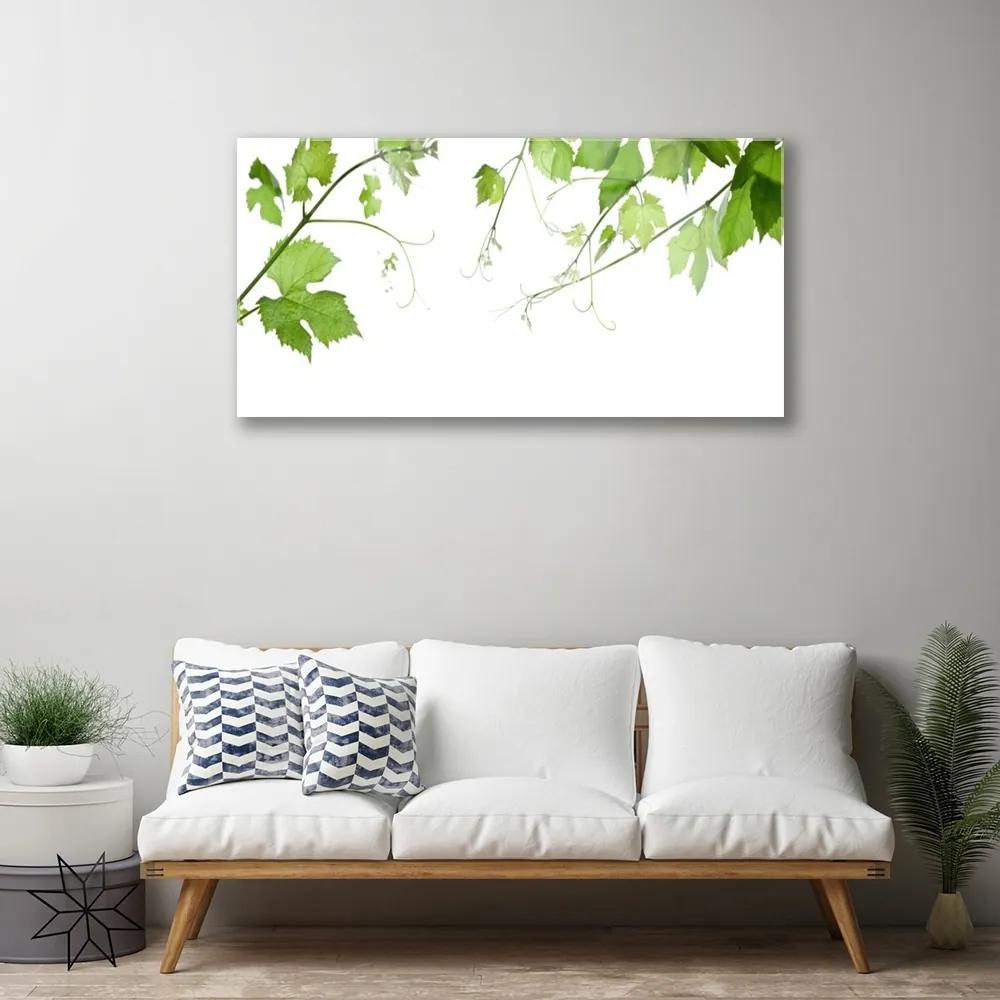 Obraz na skle Větve Listy Příroda Květiny 120x60 cm