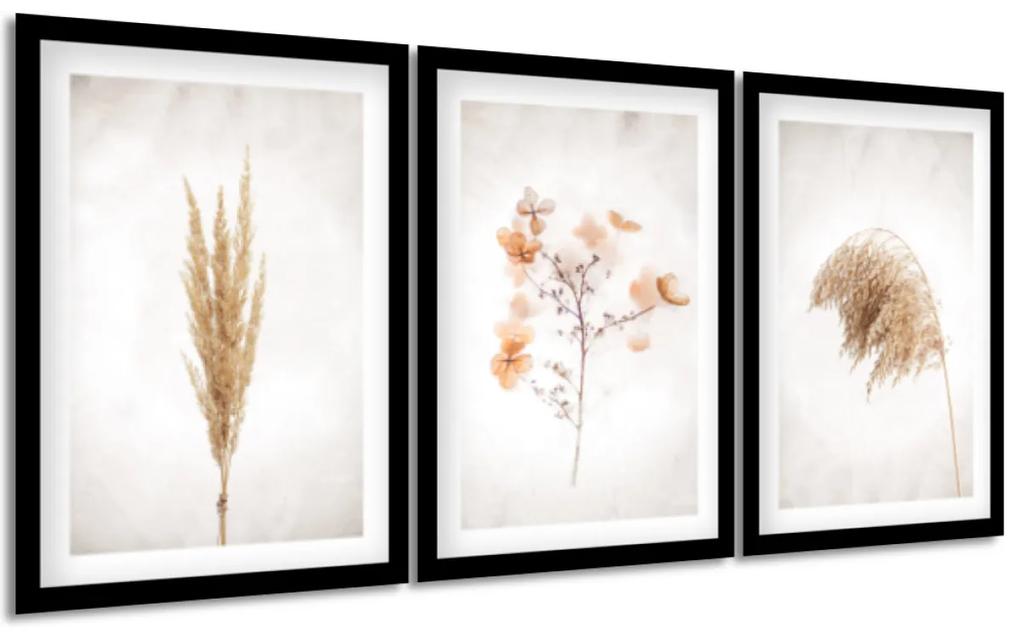 Gario Sada plakátů Dry nature Barva rámu: Bílá, Velikost: 99 x 45 cm