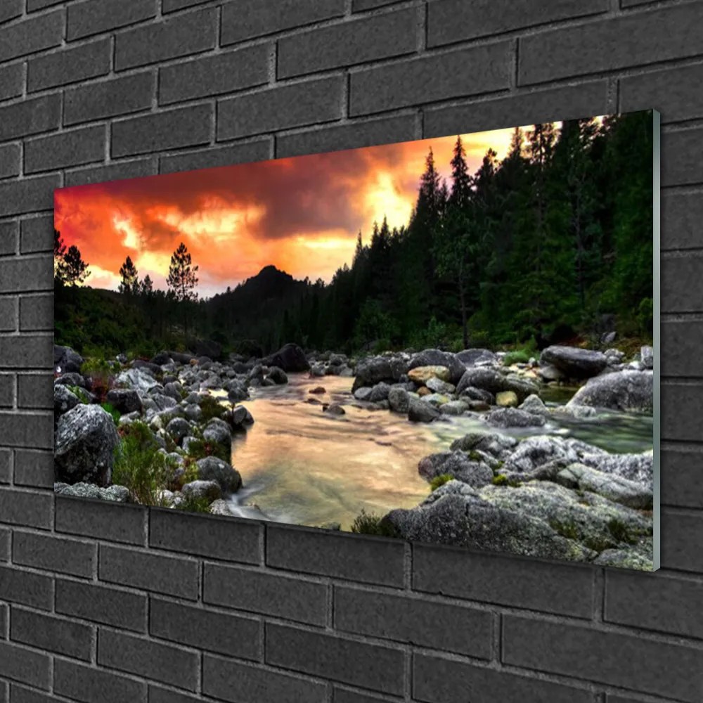 Obraz na skle Jezero Kameny Les Příroda 100x50 cm