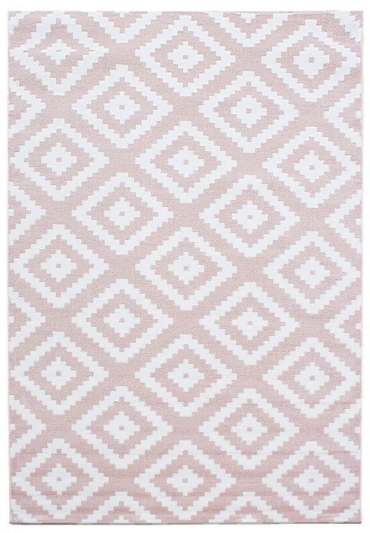 Ayyildiz, Kusový koberec Plus 8005 pink, 160x230, růžová, obývací pokoj