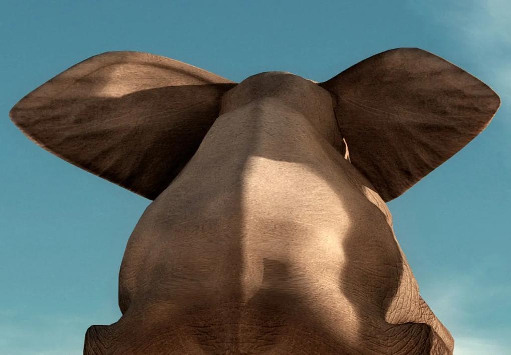 Malvis ® Zábavný slon Velikost (šířka x výška): třídílný obdélník - 120x80 cm