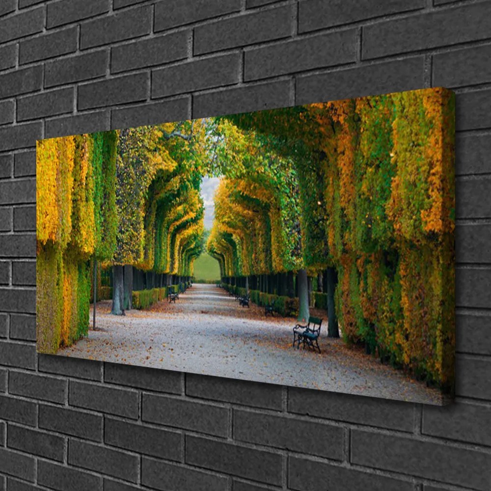 Obraz na plátně Park Podzim Zahrada Příroda 125x50 cm