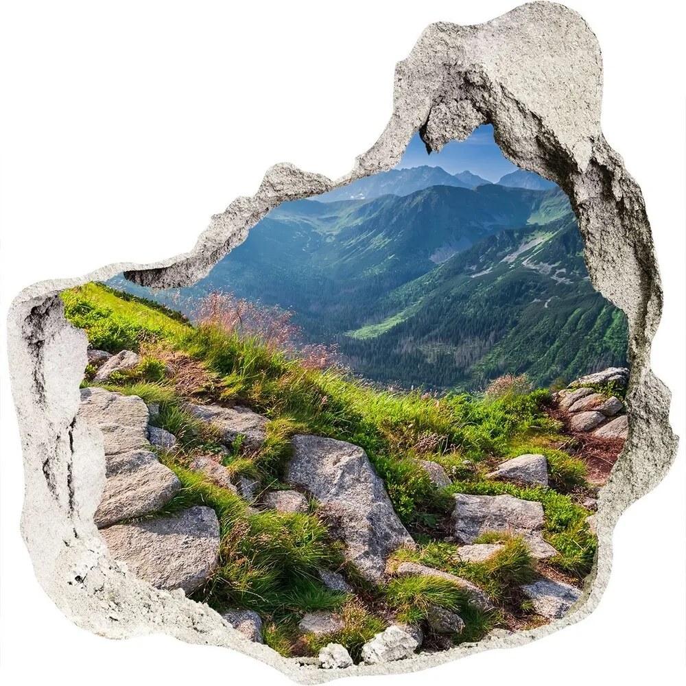 Wallmuralia Fototapeta díra na zeď Východ slunce Tatry 75x75 cm