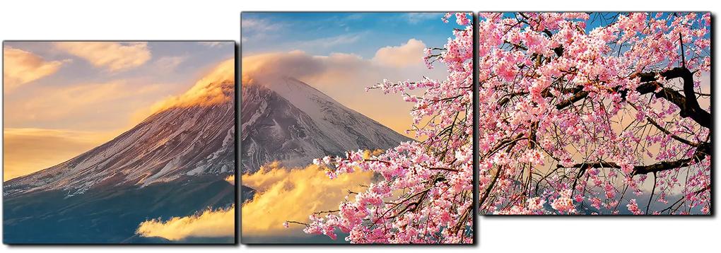 Obraz na plátně - Hora Fuji a třešňové květiny na jaře- panoráma 5266E (150x50 cm)