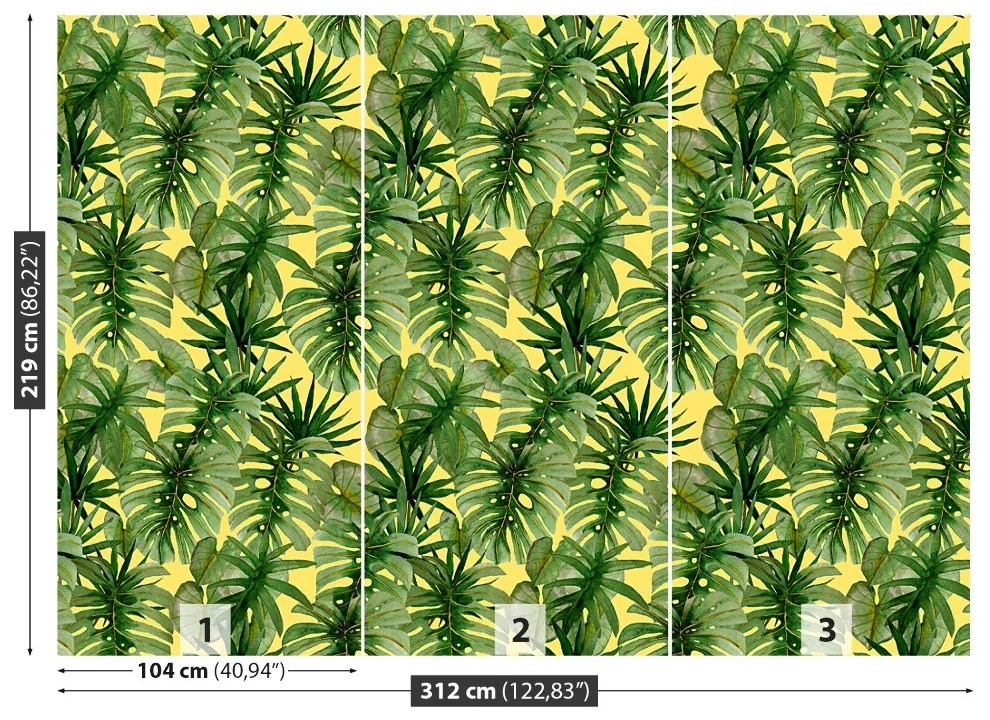 Fototapeta palma monstera 104x70