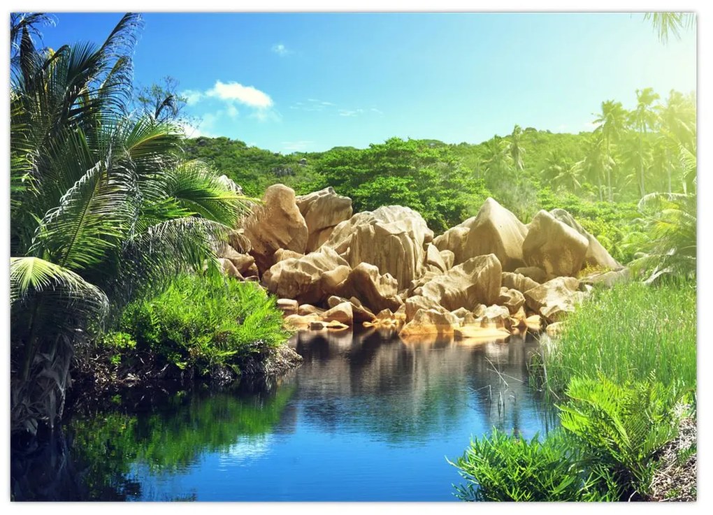 Obraz jezera v Seychelské džungli (70x50 cm)