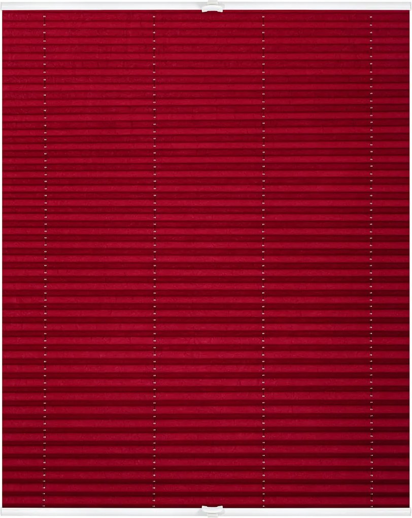 Lichtblick Plisovaná roleta, od 45 x 130 cm (ostružinová, 55 x 130 cm)