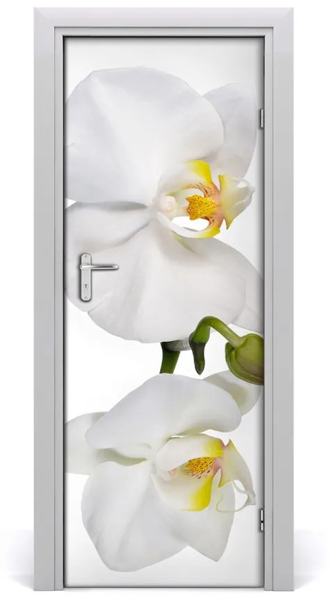 Samolepící fototapeta na dveře Bílá orchidej 75x205 cm