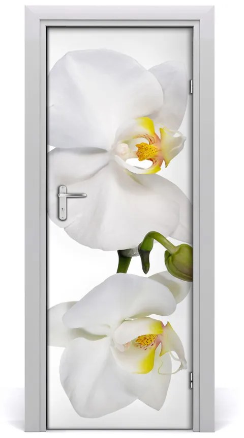 Samolepící fototapeta na dveře Bílá orchidej 95x205 cm