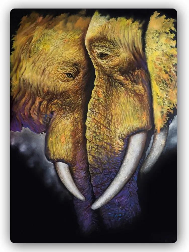 CARO Kovový obraz - Lonely Elephant 40x60 cm