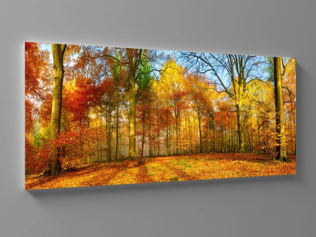 XXL obraz barevný podzim Rozměr: 300 x 150 cm