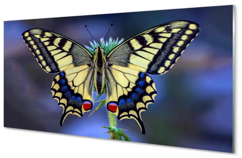 akrylový obraz Motýl na květině 125x50 cm
