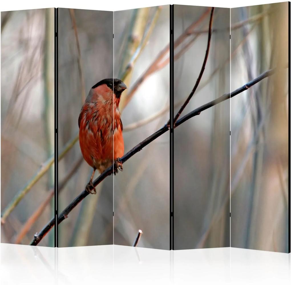 Paraván - Bullfinch in the forest II [Room Dividers] 225x172