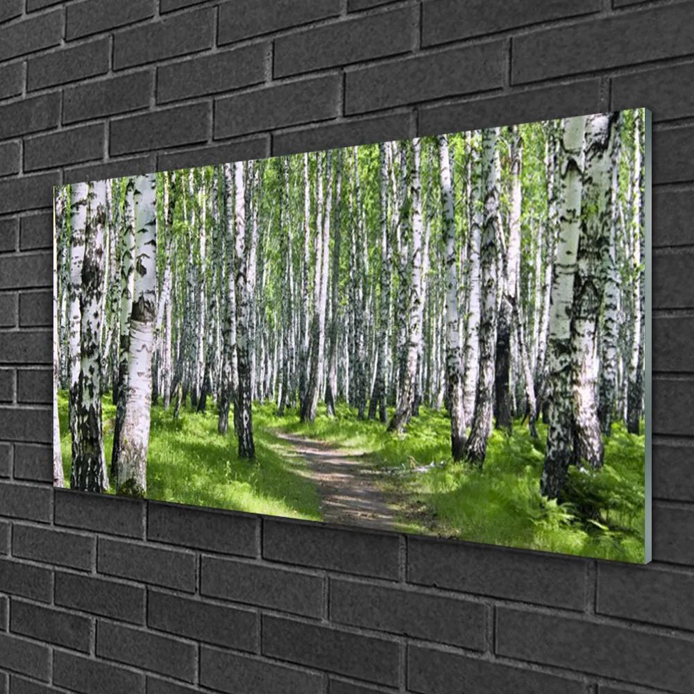 Obraz na skle Les Stezka Příroda 140x70 cm