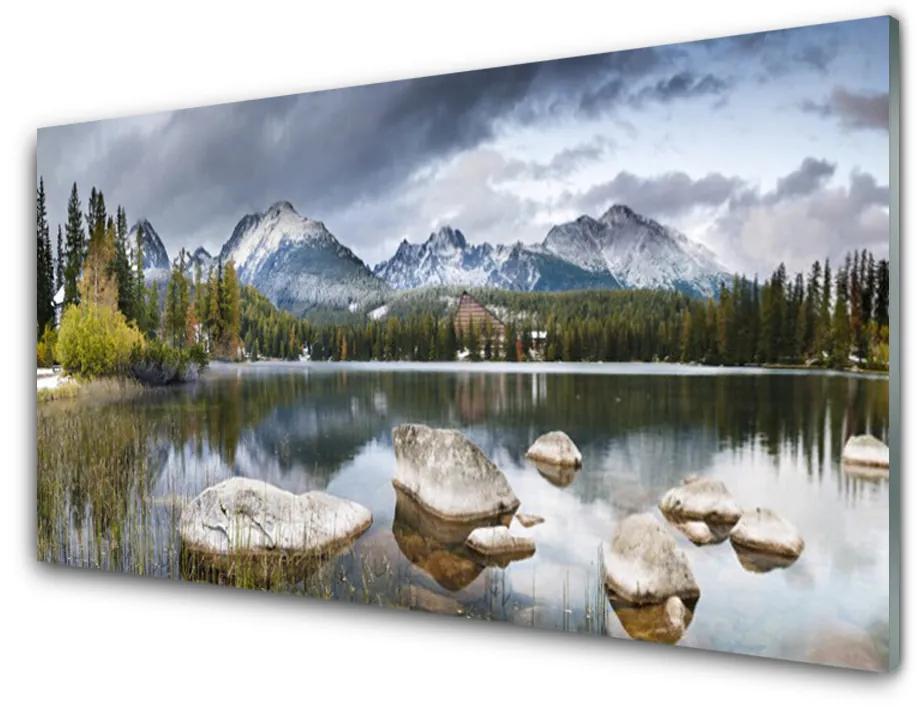 Obraz na skle Jezero Hory Les Krajina 125x50 cm