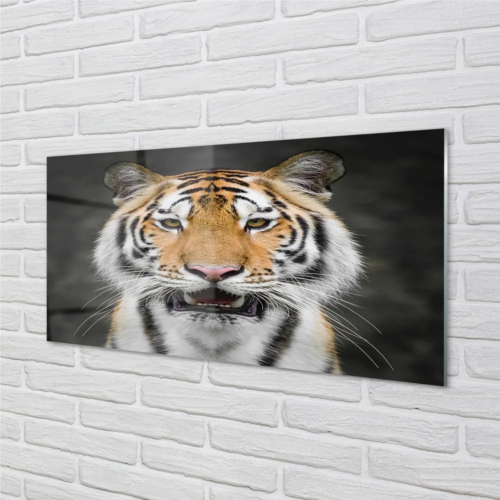 akrylový obraz Tygr 140x70 cm