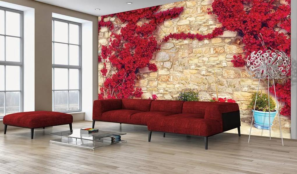 Fototapeta - Zeď s květinami (254x184 cm)
