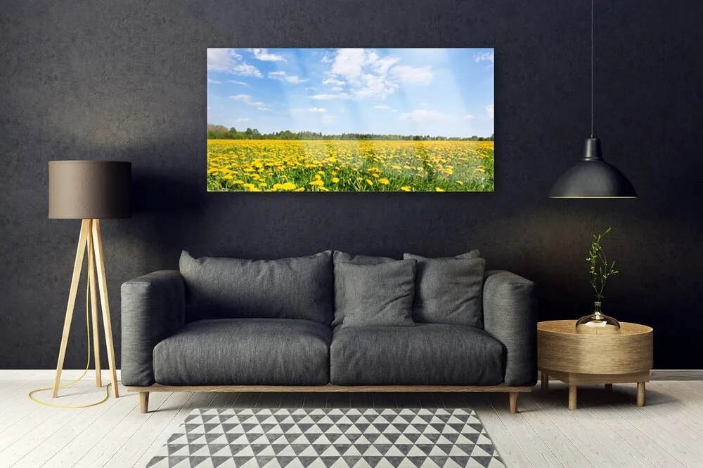 akrylový obraz Pampeliška Krajina 120x60 cm