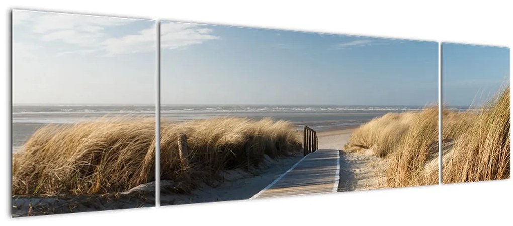 Obraz - Písečná pláž na ostrově Langeoog, Německo (170x50 cm)