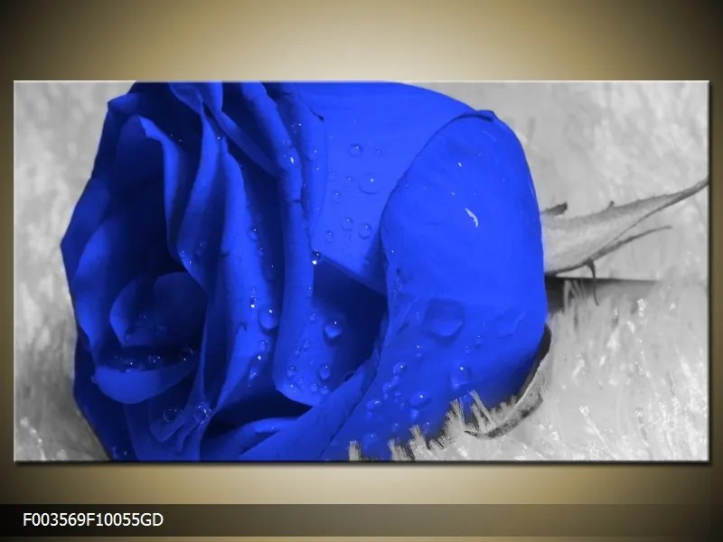 Obraz modré orosené růže  (), 40 dalších rozměrů