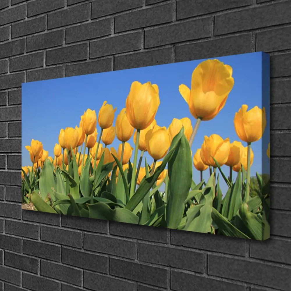 Obraz na plátně Tulipány Květiny Rostlina 120x60 cm