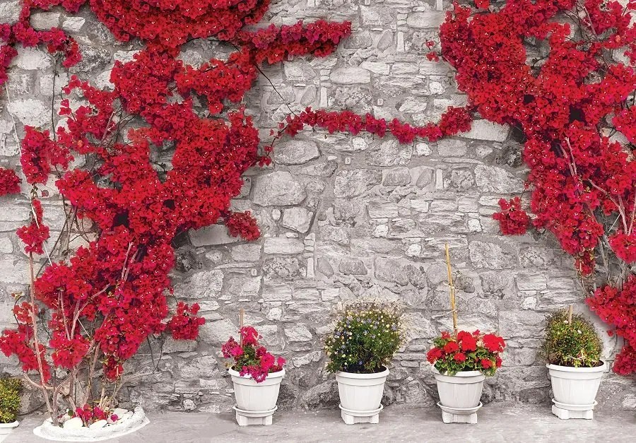 Postershop Obraz na plátně: Červená květinová zeď - 75x100 cm