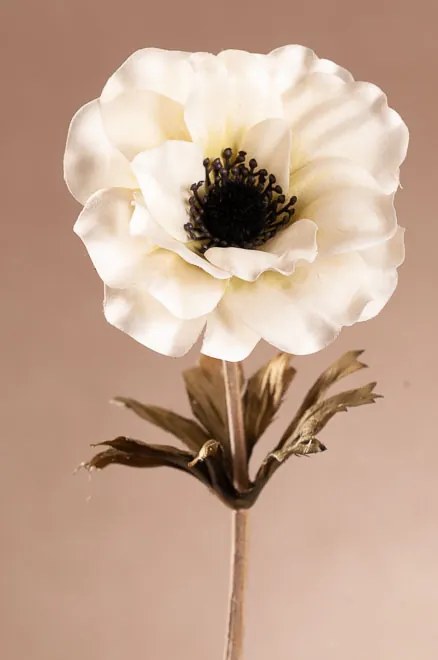 Paramit DRY SINGLE ANEMONE Aranžovací květina bílá 35 cm