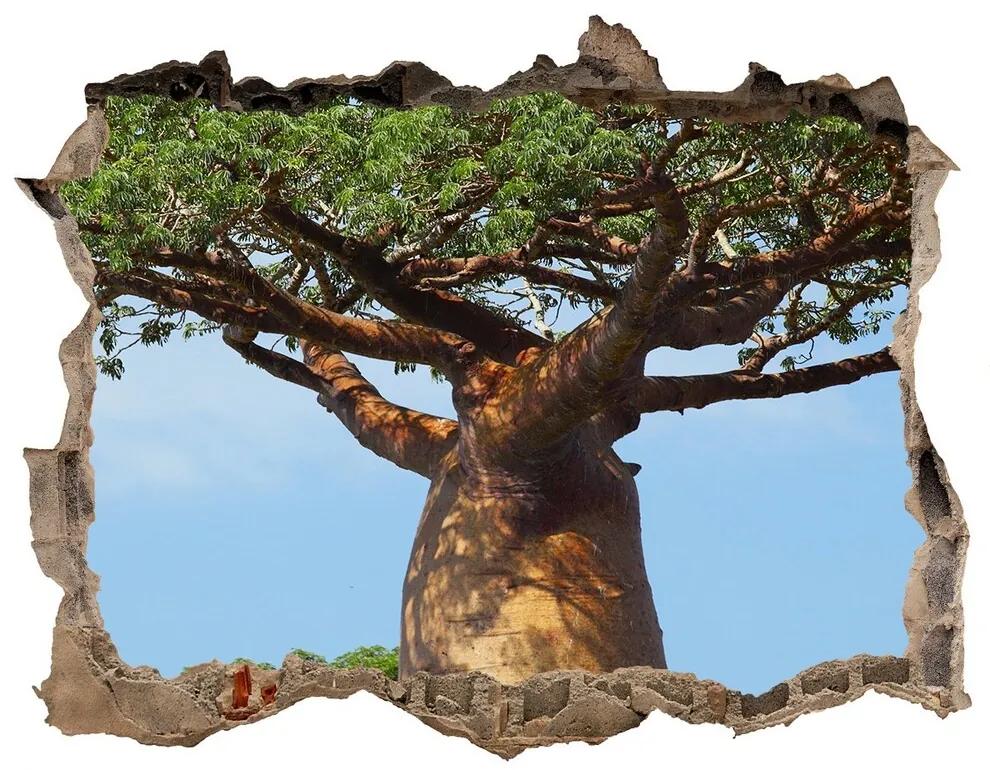 Wallmuralia Samolepící díra na stěnu nálepka Baobab 95x64 cm