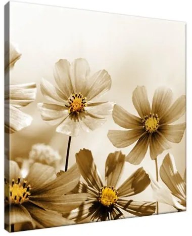 Tištěný obraz Květnatá krása 30x30cm 1484A_1AI