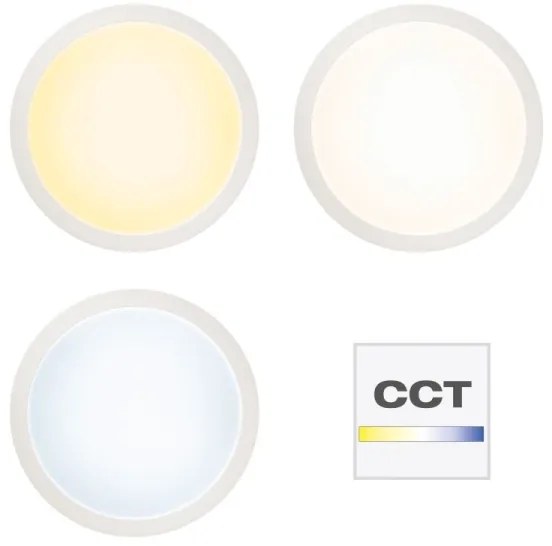Brilliant - LED RGBW Stmívatelné stropní svítidlo ABIE LED/24W/230V + DO