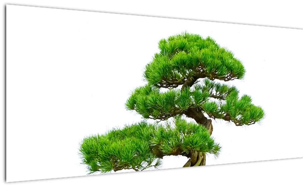Bonsai - moderní obraz (100x40cm)