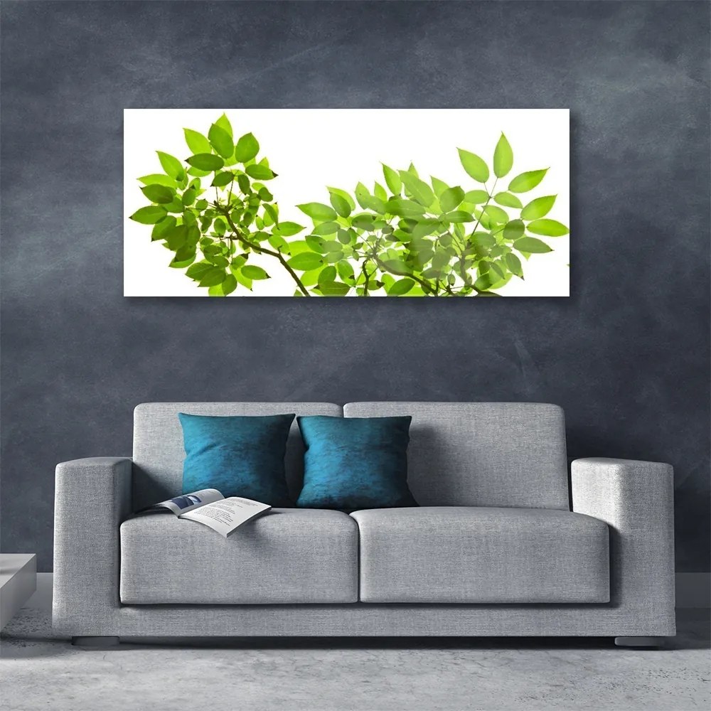 Plexisklo-obraz Větev Listy Rostlina Příroda 125x50 cm