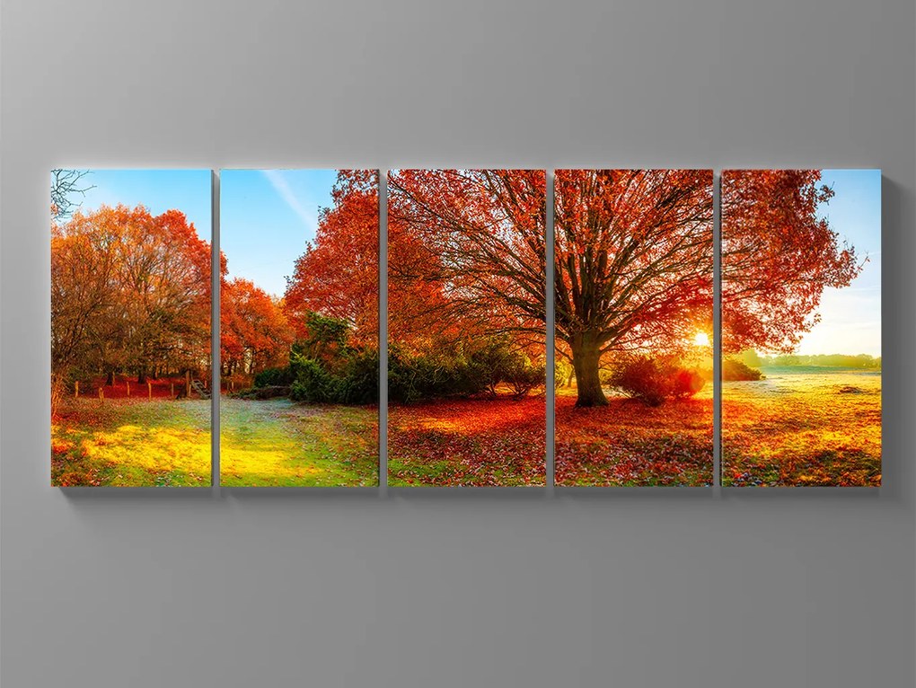 Liox Obraz strom v paprscích slunce Rozměr: 200 x 80 cm