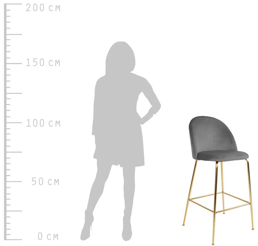 OnaDnes -20% Nordic Living Šedá sametová barová židle Anneke se zlatou podnoží 76 cm