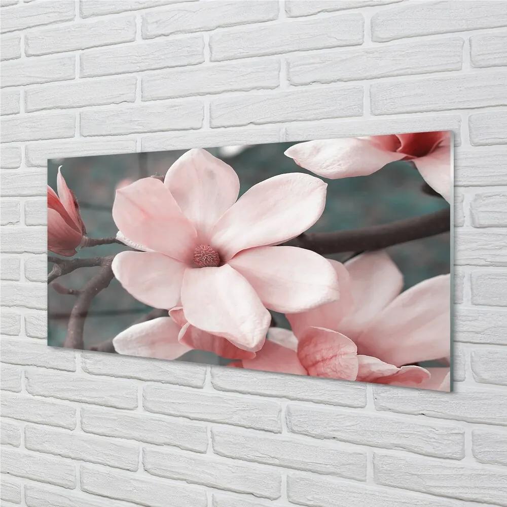 Obraz na skle růžové květy 100x50 cm