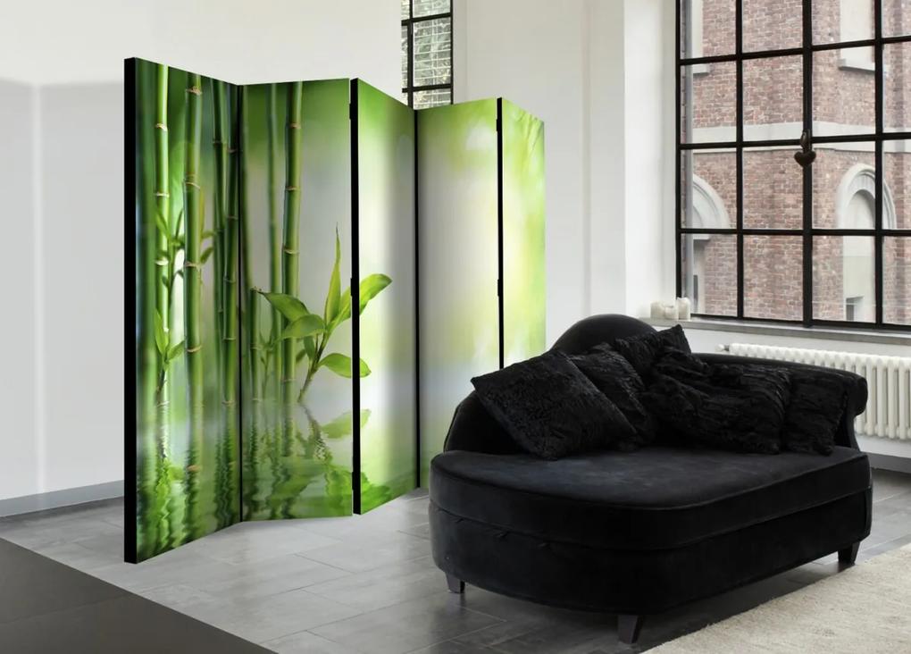 Zelený bambus II (225x172 cm) - Murando DeLuxe