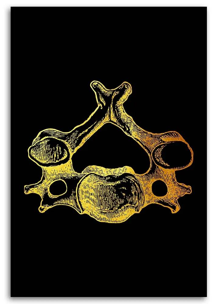 Gario Obraz na plátně Zlatá anatomie, zádový obratel - Gab Fernando Rozměry: 40 x 60 cm